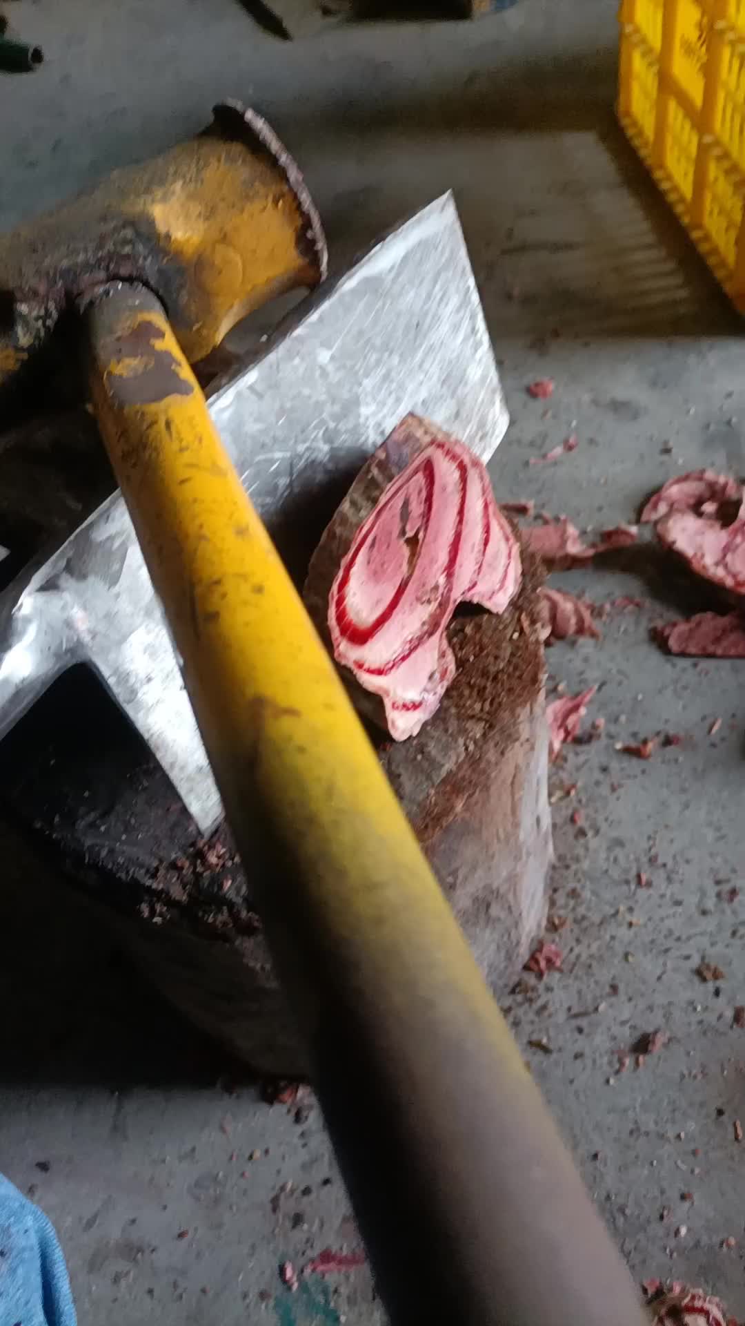 #现场视频曝光 #鸡血藤的好处 #鸡血藤切片 #中草#药材