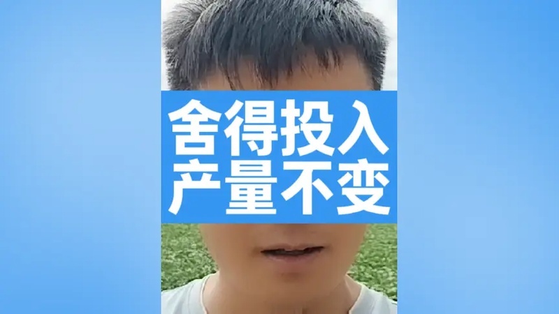 棉花地一亩地尿素用量80公斤,磷肥50公斤,钾肥50公斤