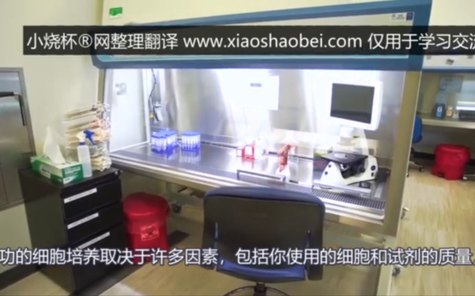 植物组织培养的透视概述