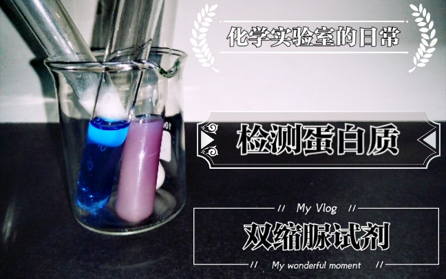 检测蛋白质——双缩脲试剂