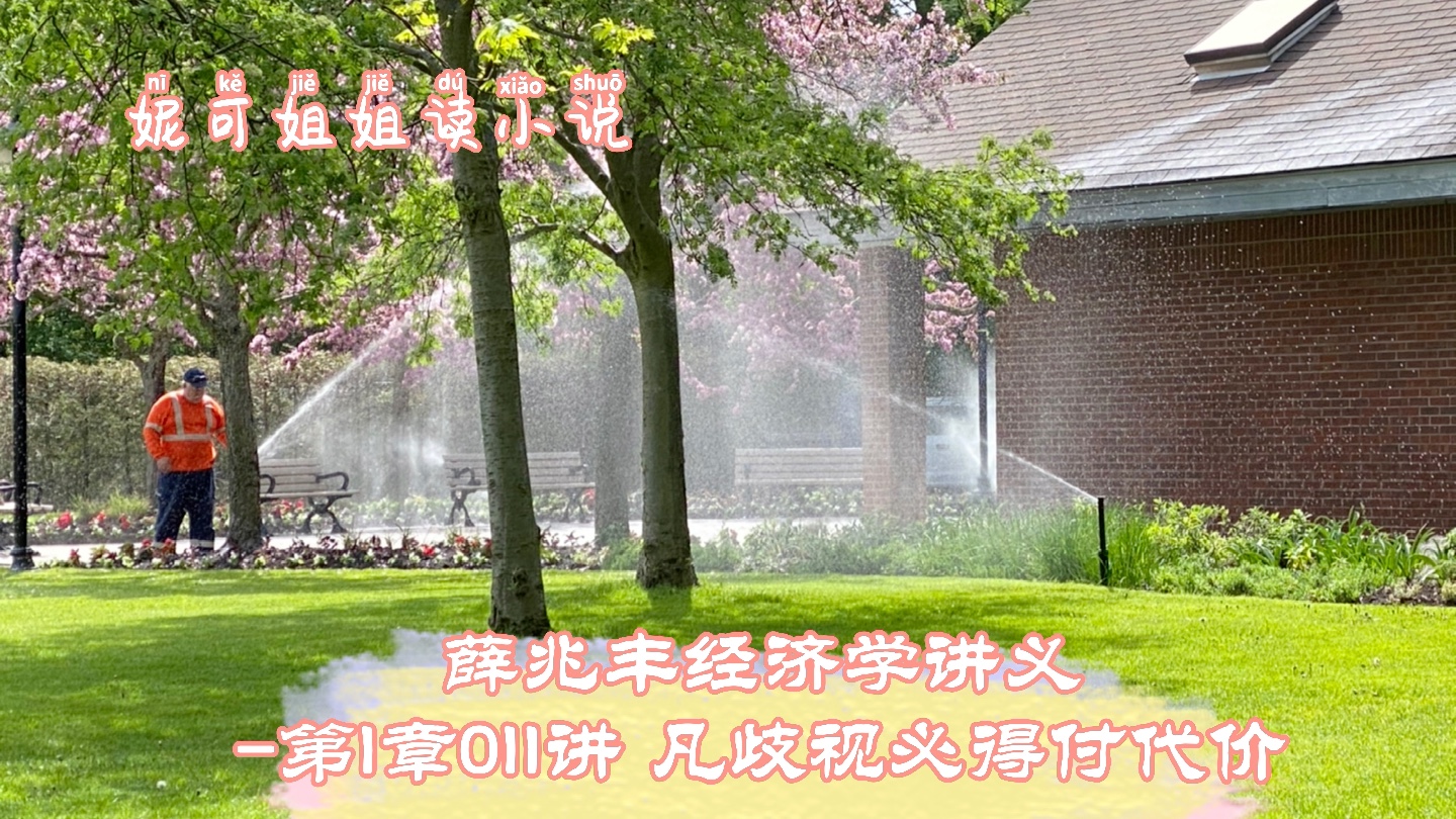 妮可姐姐读小说-薛兆丰经济学讲义-第1章011讲-凡歧视必得付代价
