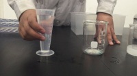 3032【实验视频】蛋白质的合成与检测