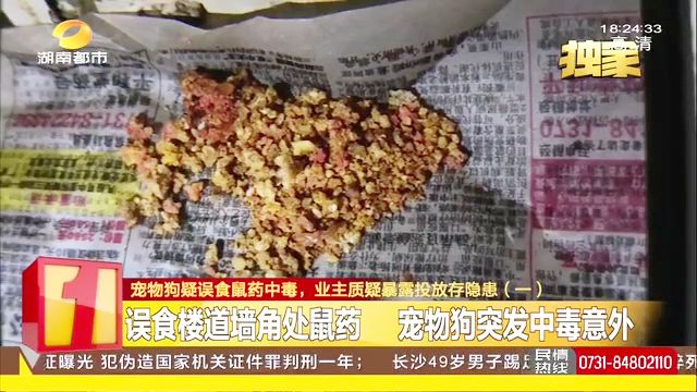 宠物狗误食楼道投放鼠药,突发中毒身亡,业主质疑暴露投放存隐患