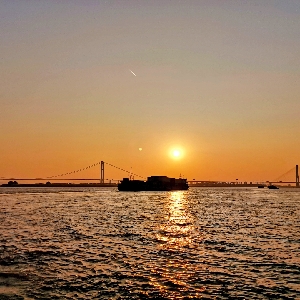 来一打鸡蛋 