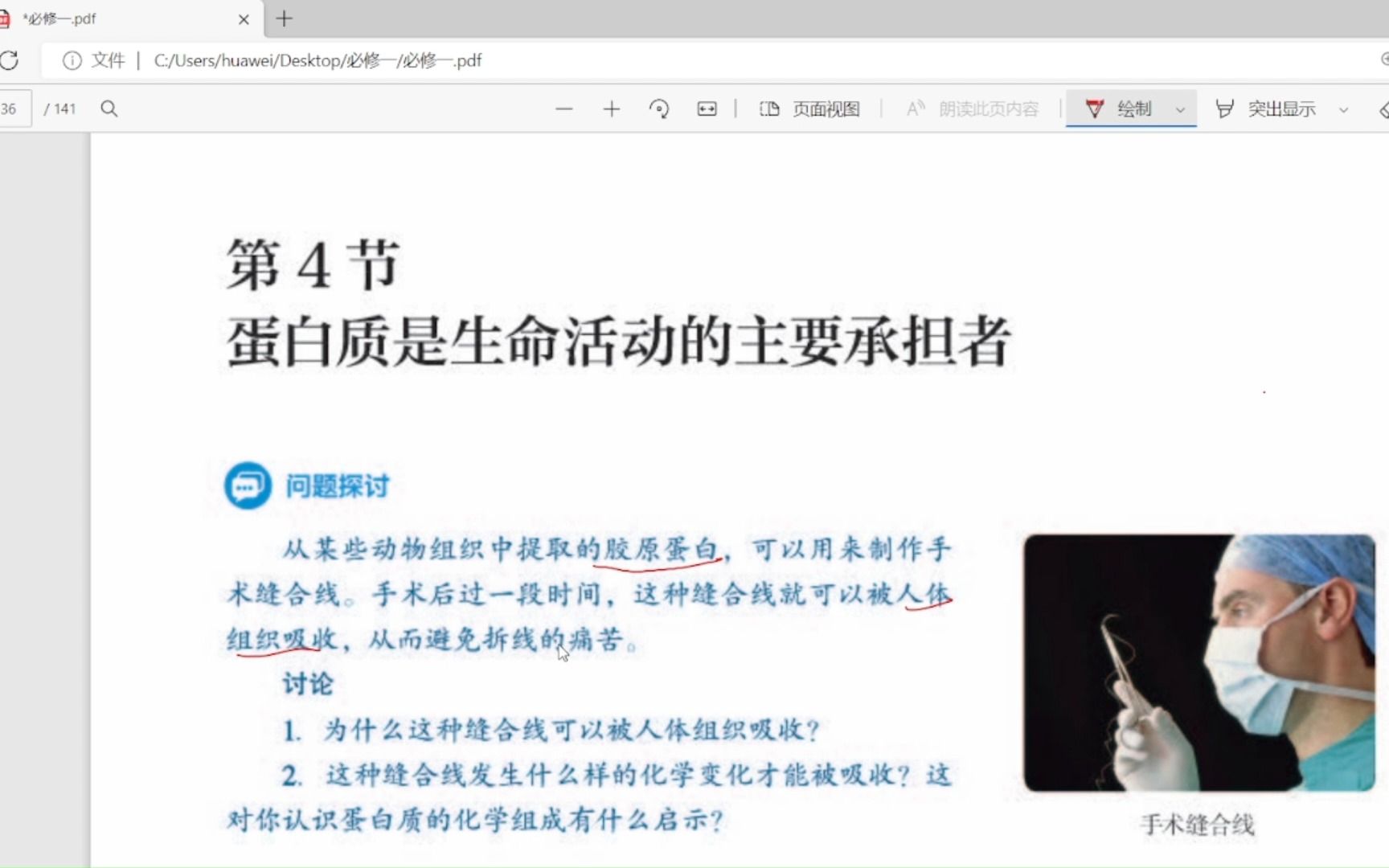 蛋白质是生命活动的主要承担者