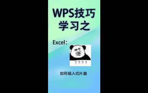 WPS-插入切片器