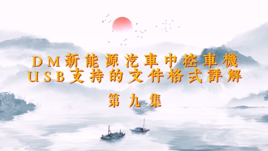 宋DM/唐DM.中控车机究竟有多强大?USB支持文件格式详解