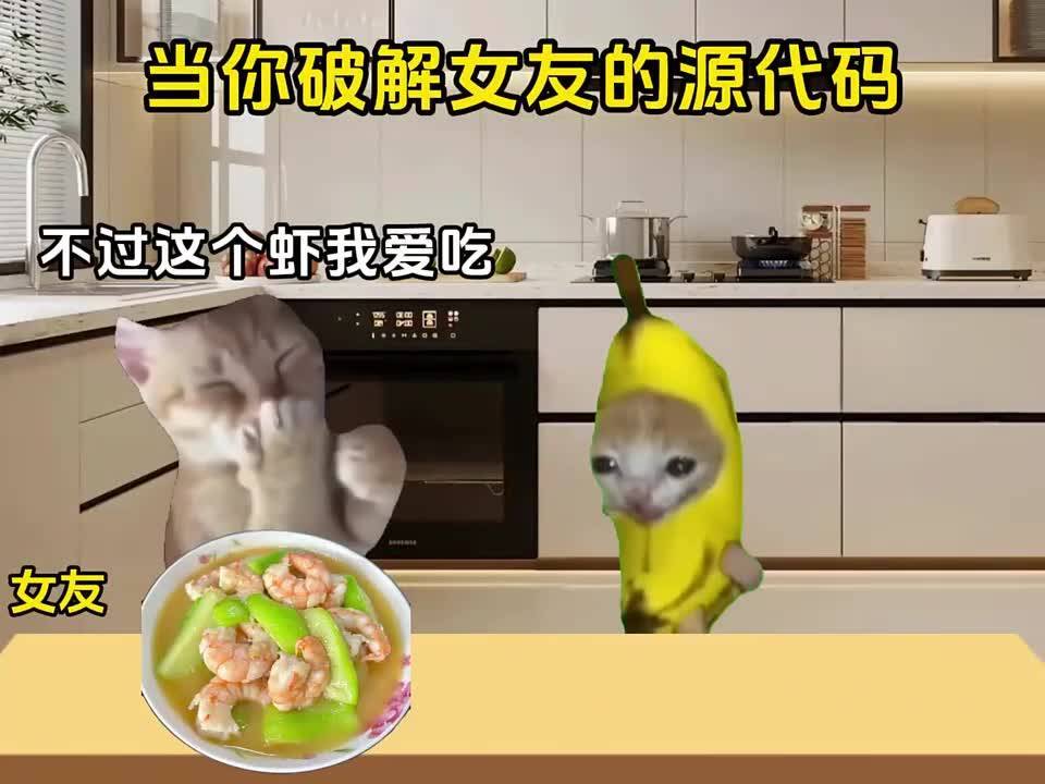 动物:当你破解女友的源代码