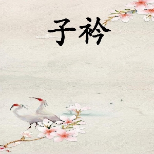 新手子衿 