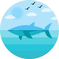CodeShark 