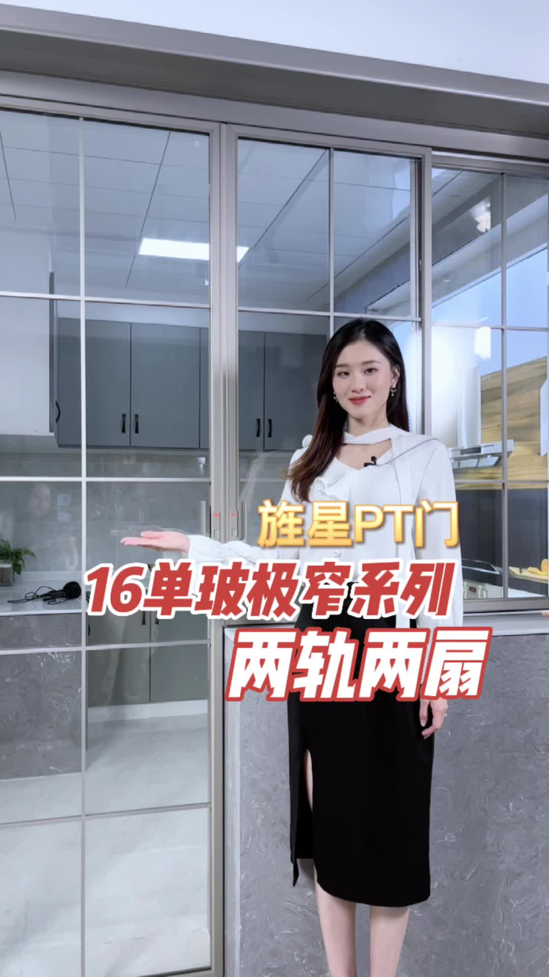 旌星pd门推拉门,极窄pd门推拉门,pt门pd门推拉门