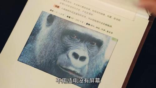 3D裸眼动画书,让孩子在家也能逛动物园!