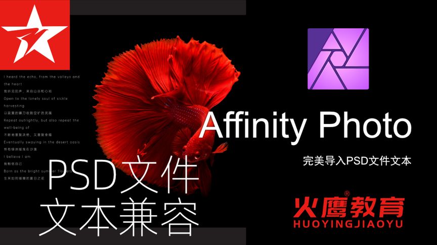 194Affinity Photo完美导入PSD文件文本