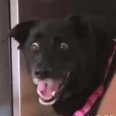 I2656I 