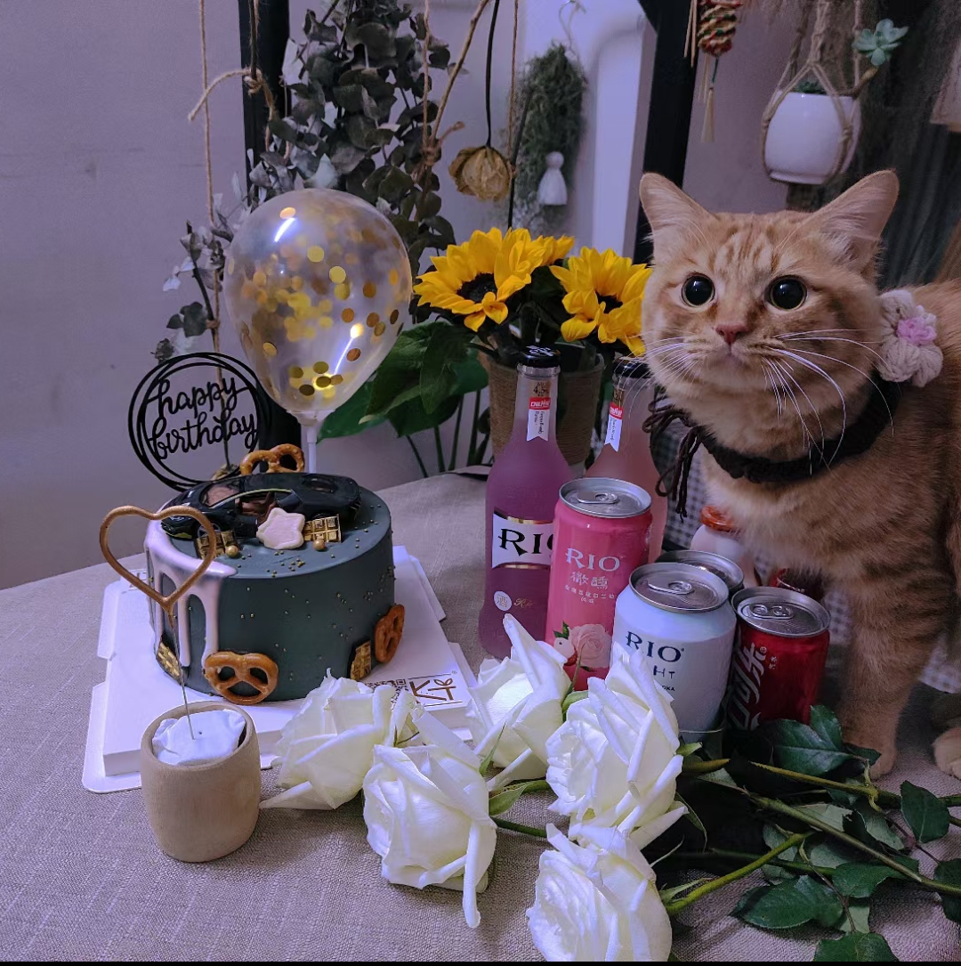 踩了铜钱草的猫 