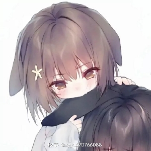 随风小菜 