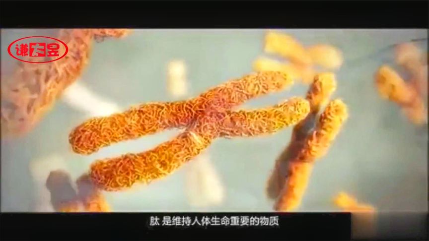 肽对人体细胞的四大神奇作用:抑制 修复 促进 再生