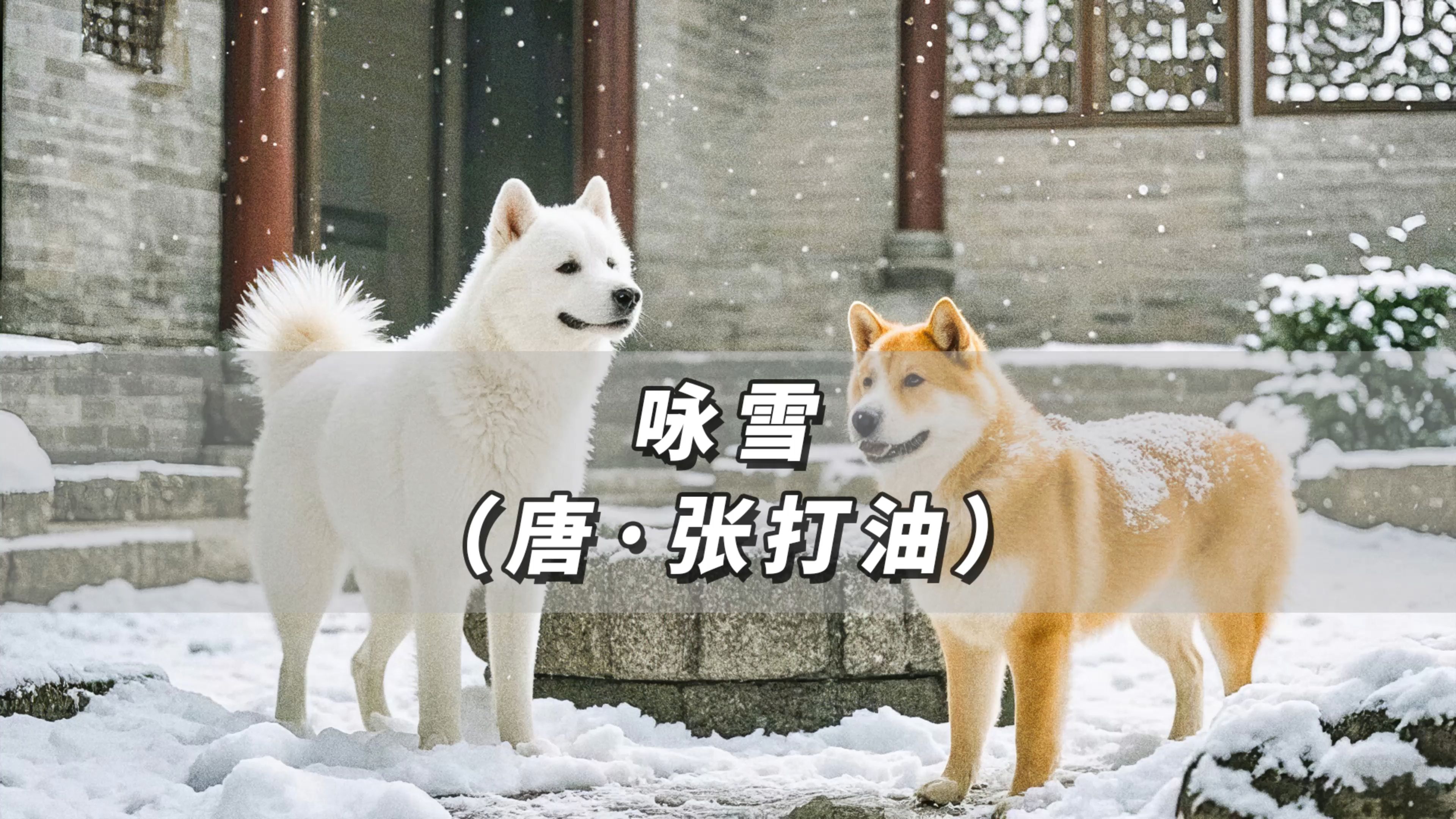 小学必读古诗新图趣诵深解《咏雪》(唐 张打油)