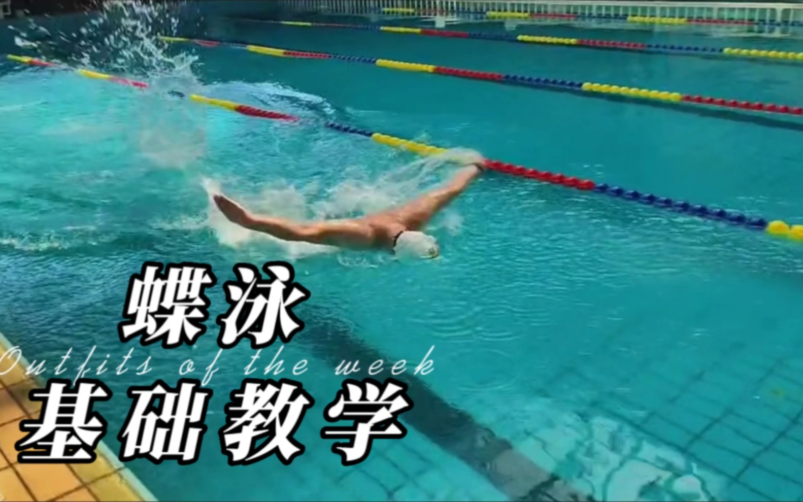 基础蝶泳技术教学