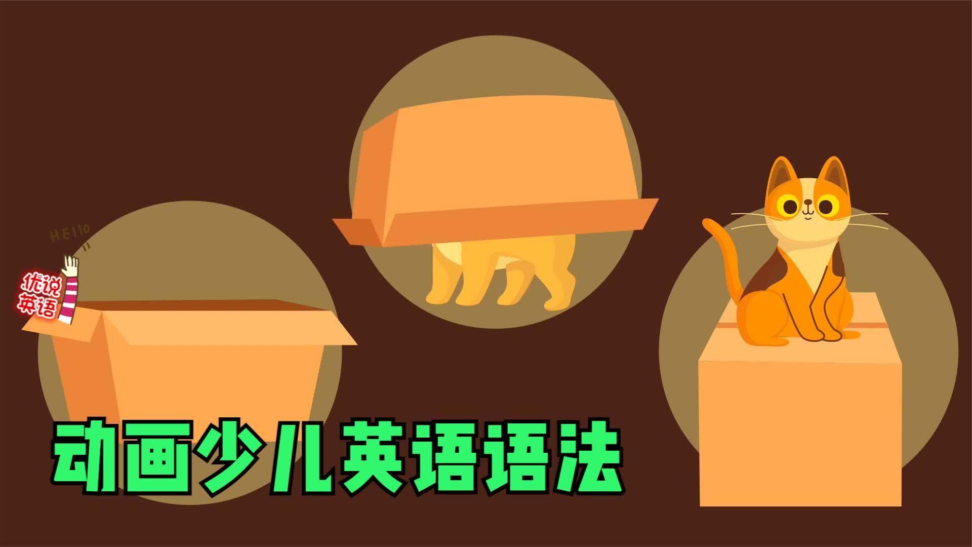 【儿童】可爱的小猫咪在盒子里,动画学英语方位介词