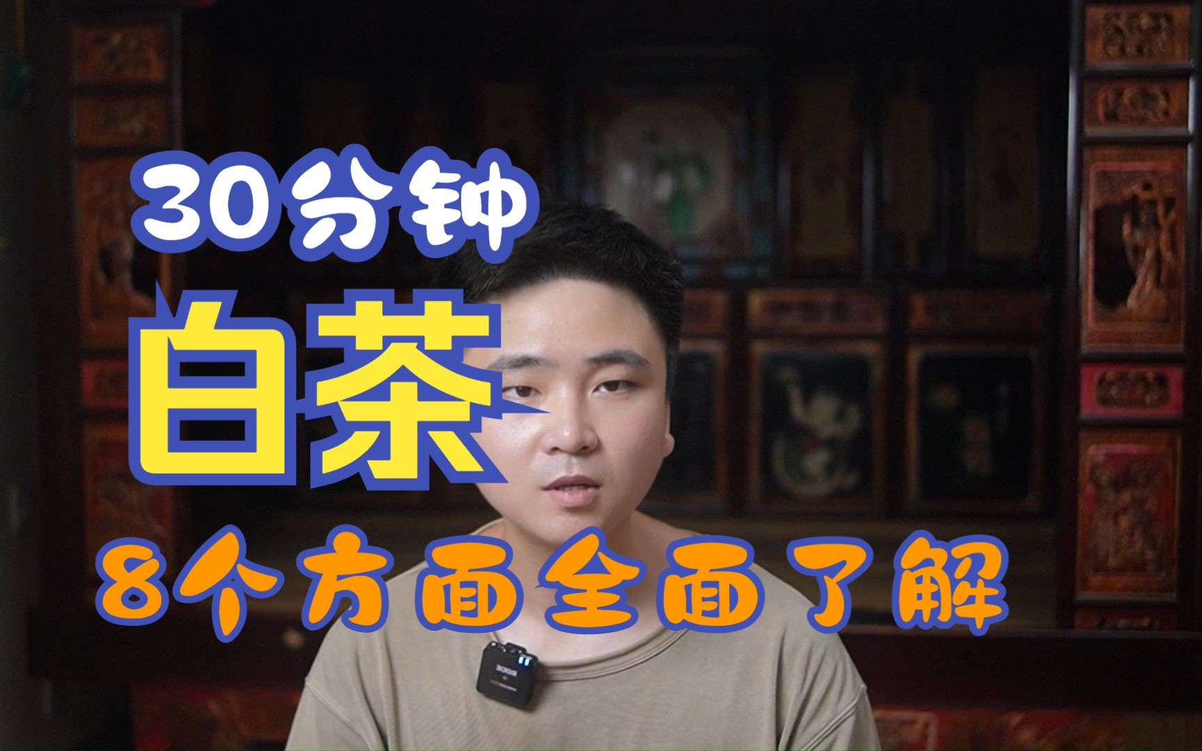 【福鼎白茶】从8个方面一篇看懂白茶!分类派系