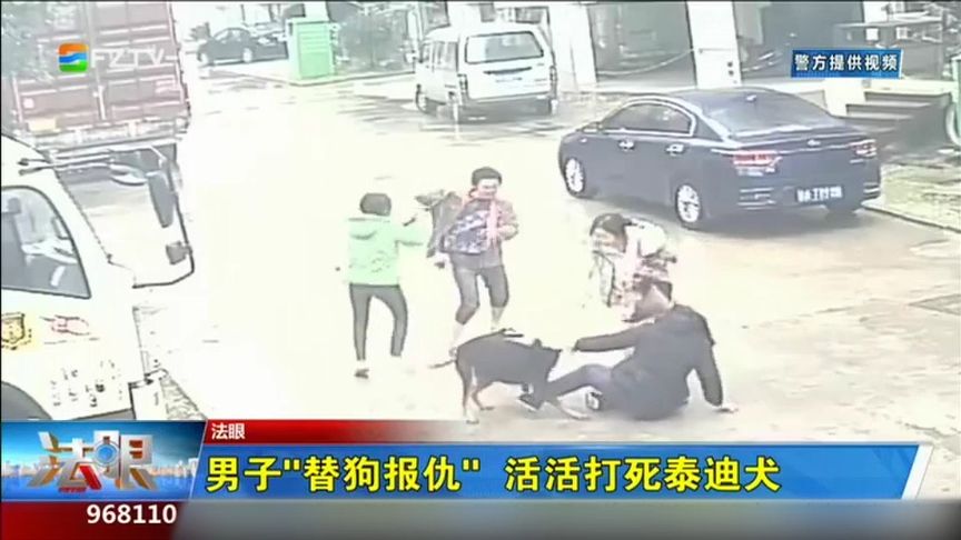 福州:因爱狗心切,男子活活打死泰迪犬,并与狗主人产生斗殴