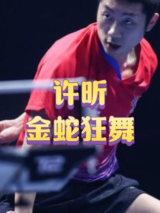 金蛇狂舞第二弹,许昕远台天秀旋球 蛇年看蛇球第二弹,许昕双打面对...