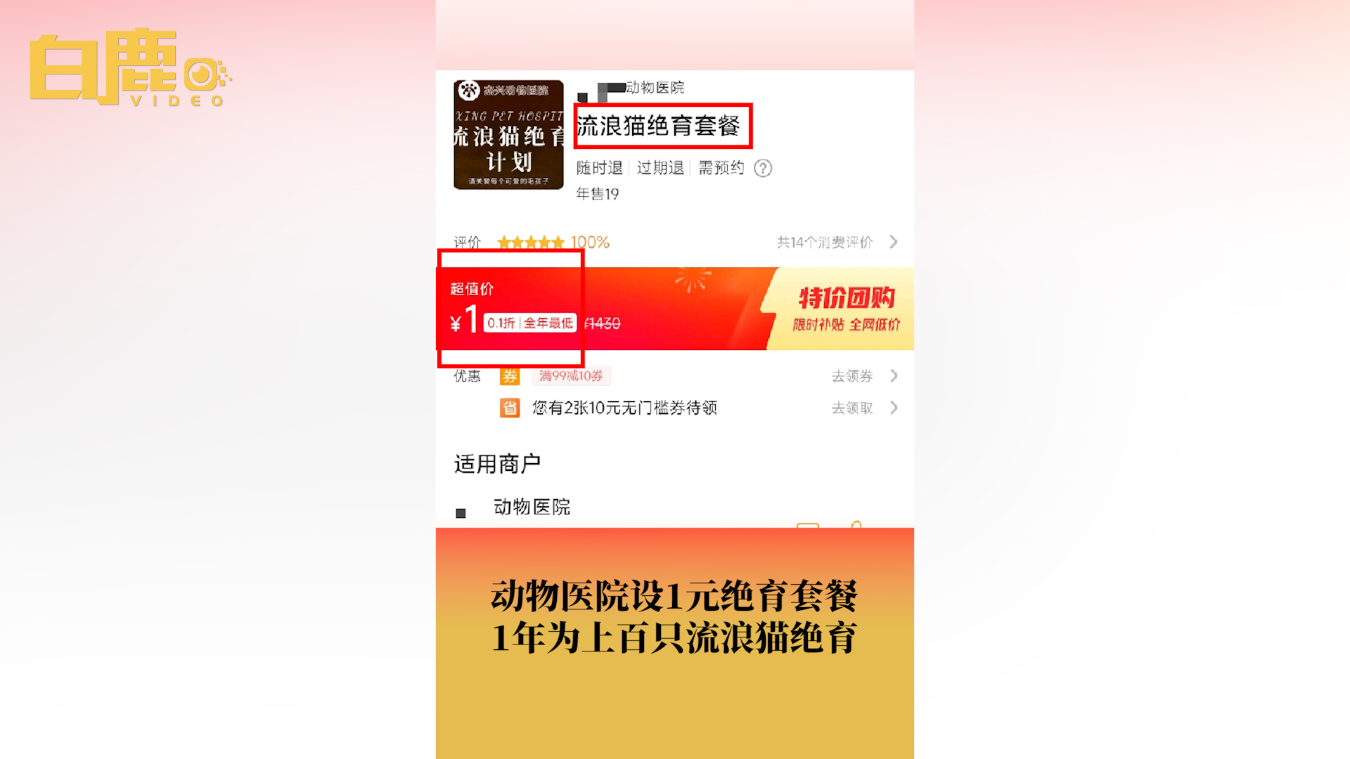 西安一动物医院收1元为流浪猫绝育