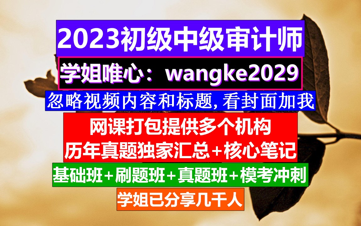 初级审计师审计相关基础知识,审计师考试真题及答案,审计师报名时间...