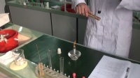 探究酸的某些化学性质