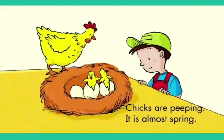 春天的英语绘本,Spring is here,关于春天的英语学习,Bird Flower Wind