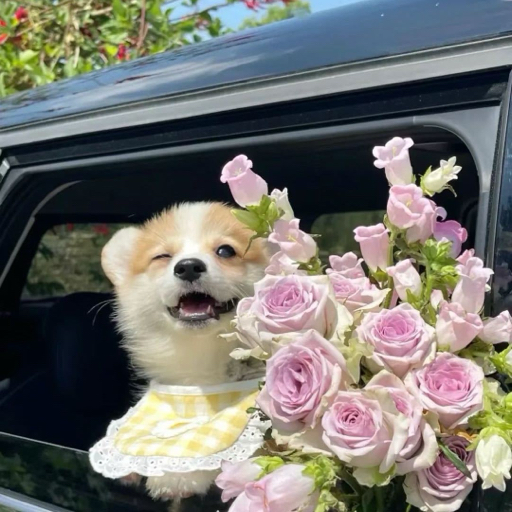 嘿嘿x不嘿嘿 