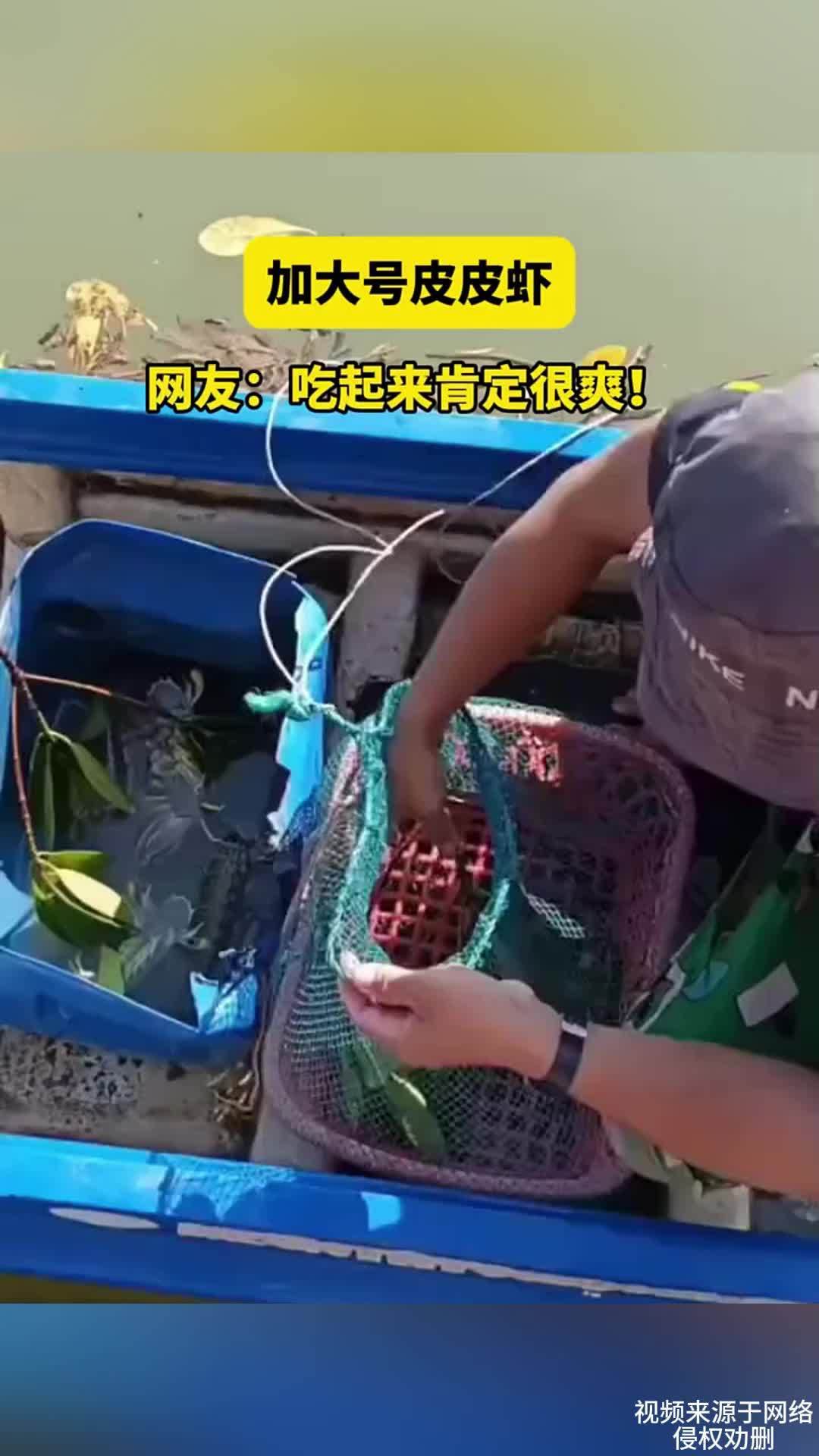 这样的皮皮虾不敢想有多好吃