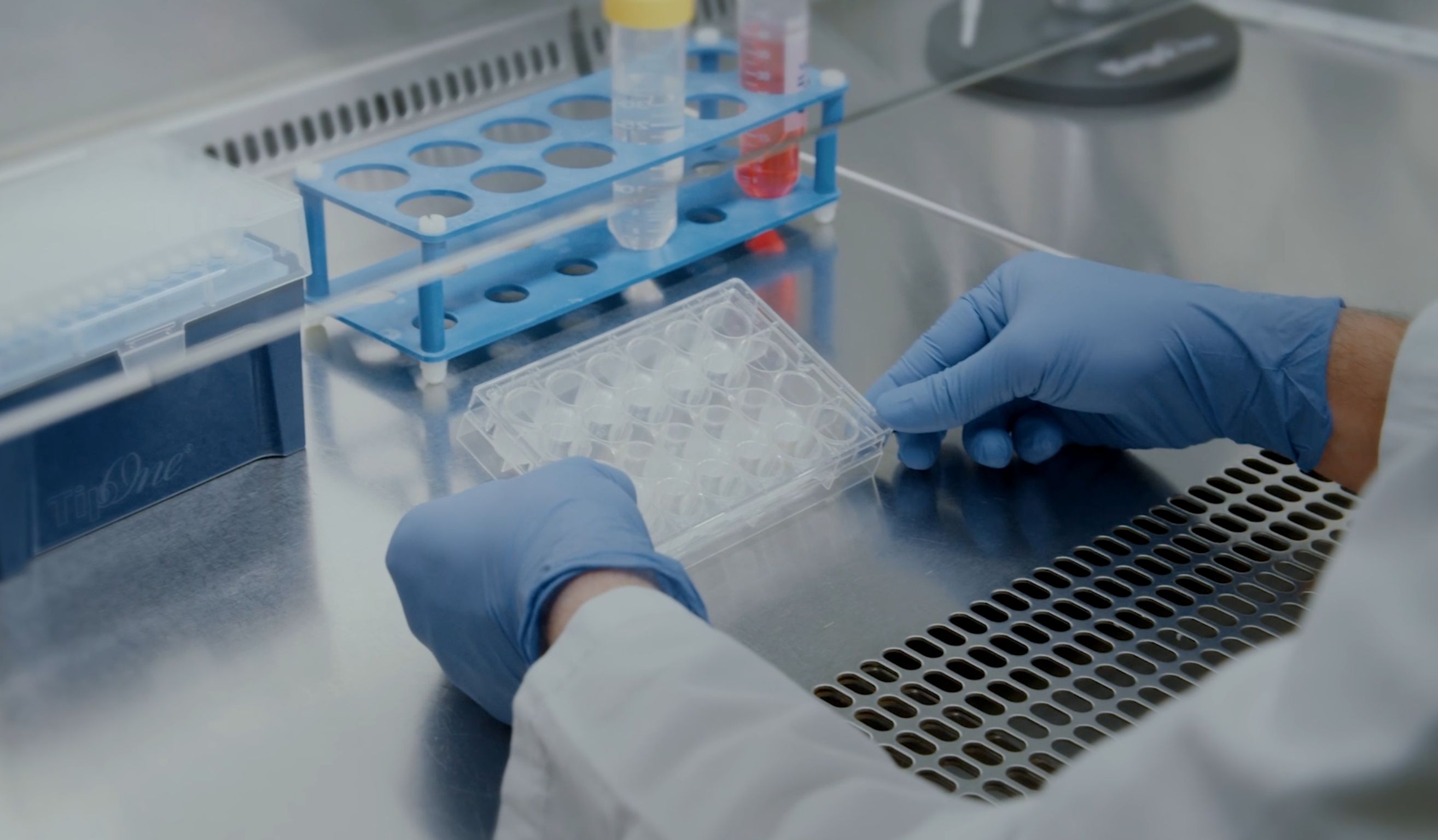 ...细胞培养板,用于培养高质量和高产量的均一、标准和尺寸可控的细胞球