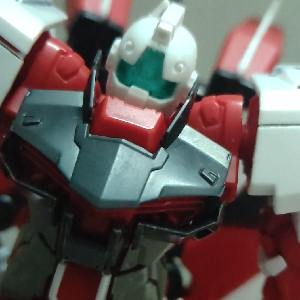 做一只优雅的野兽 