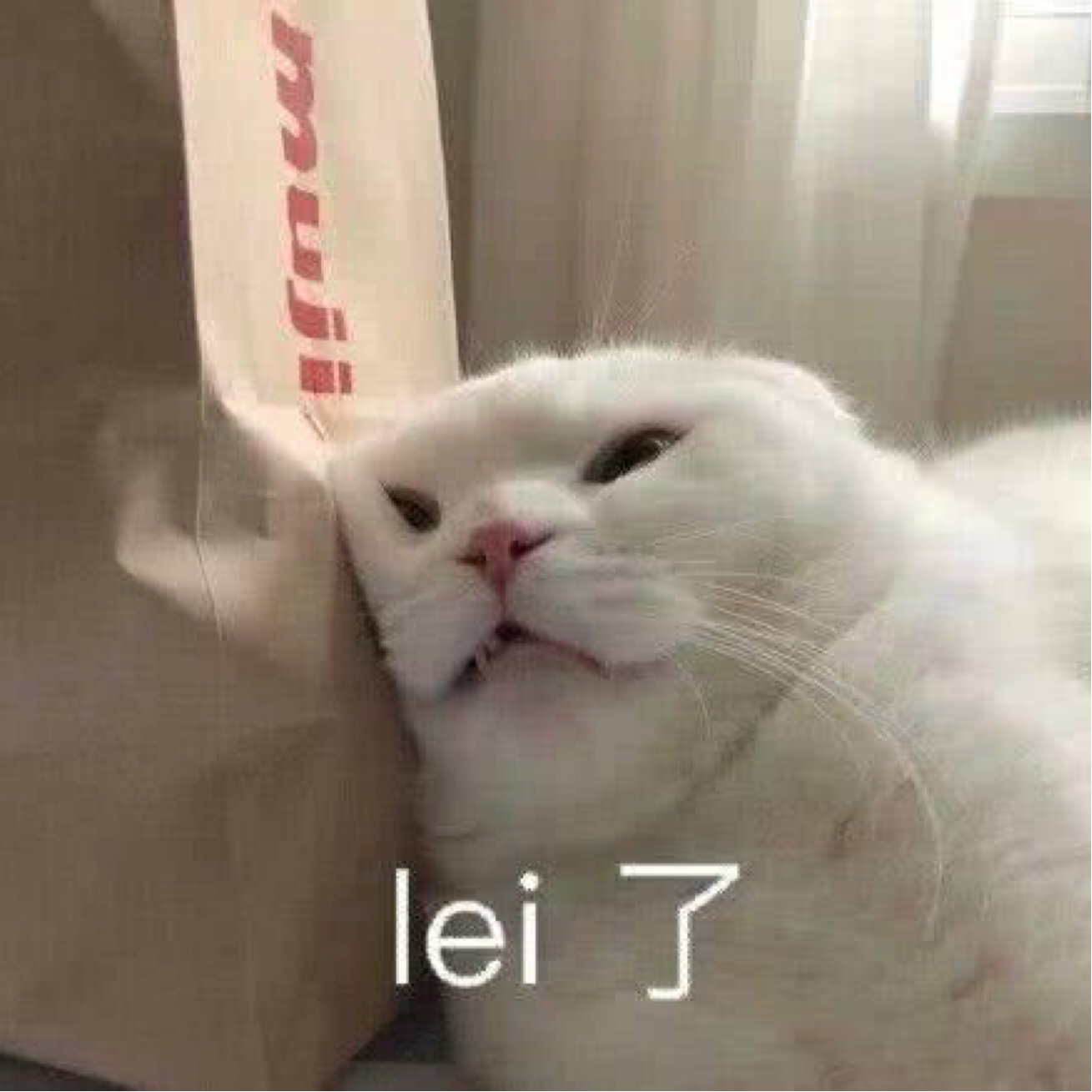 脑壳好昏啊 