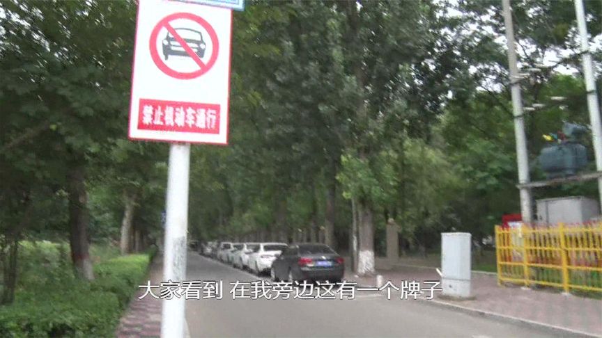 标志禁止机动车通行,路边却画满停车位。交警大队:工作失误。