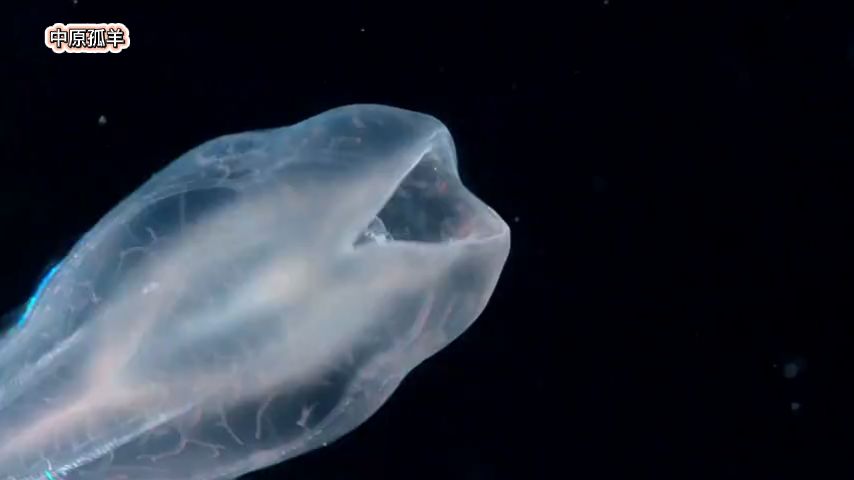 水中的热管会因为产生热传递对水流的速度产生一定的影响。