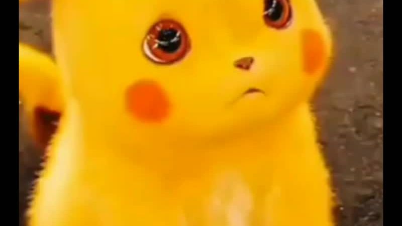 #皮卡丘 这也太可爱了吧 看最幼稚的动画明白最深的道理