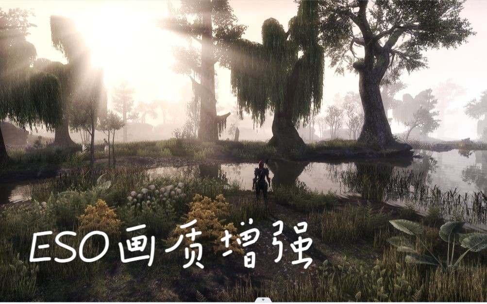 ESO上古卷轴OL画质增强,N卡滤镜安装启动和参数设置讲解