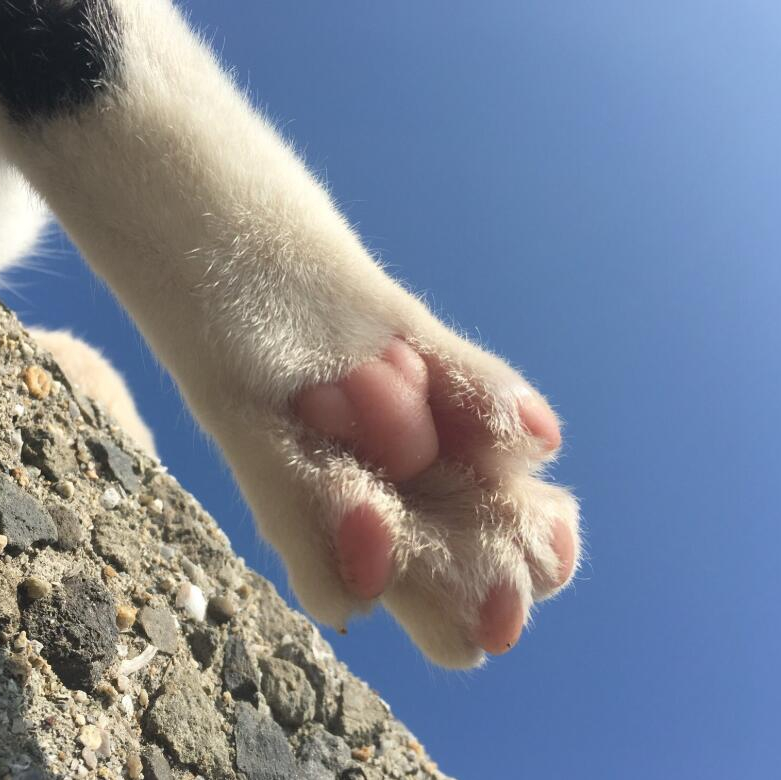 程序猿太太的游戏频道 