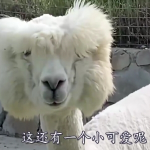 谁还不是个小可爱吶 