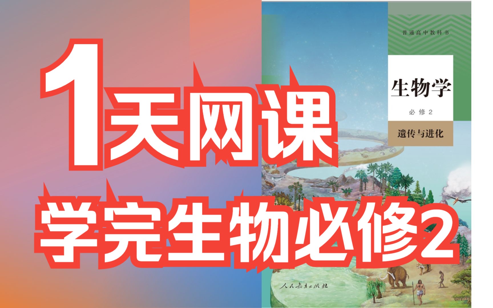 【高中生物必修2遗传与进化合集】【新教材】必修二人教版新课标...