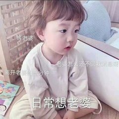 一个正在奋斗的剪辑狮 