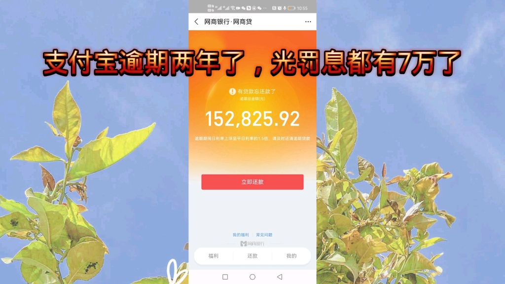 我的支付宝逾期两年了,光罚息都有7万了,咋办?