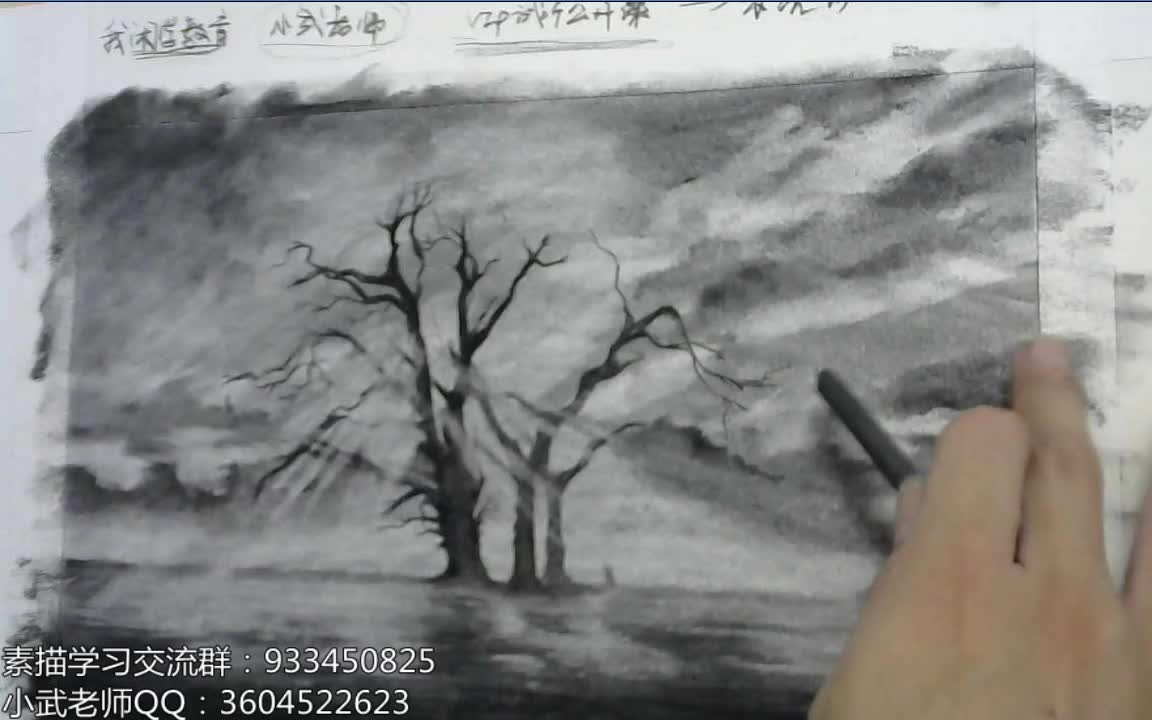 【素描新手联盟】小舞老师教你如何用铅笔玩转素描!