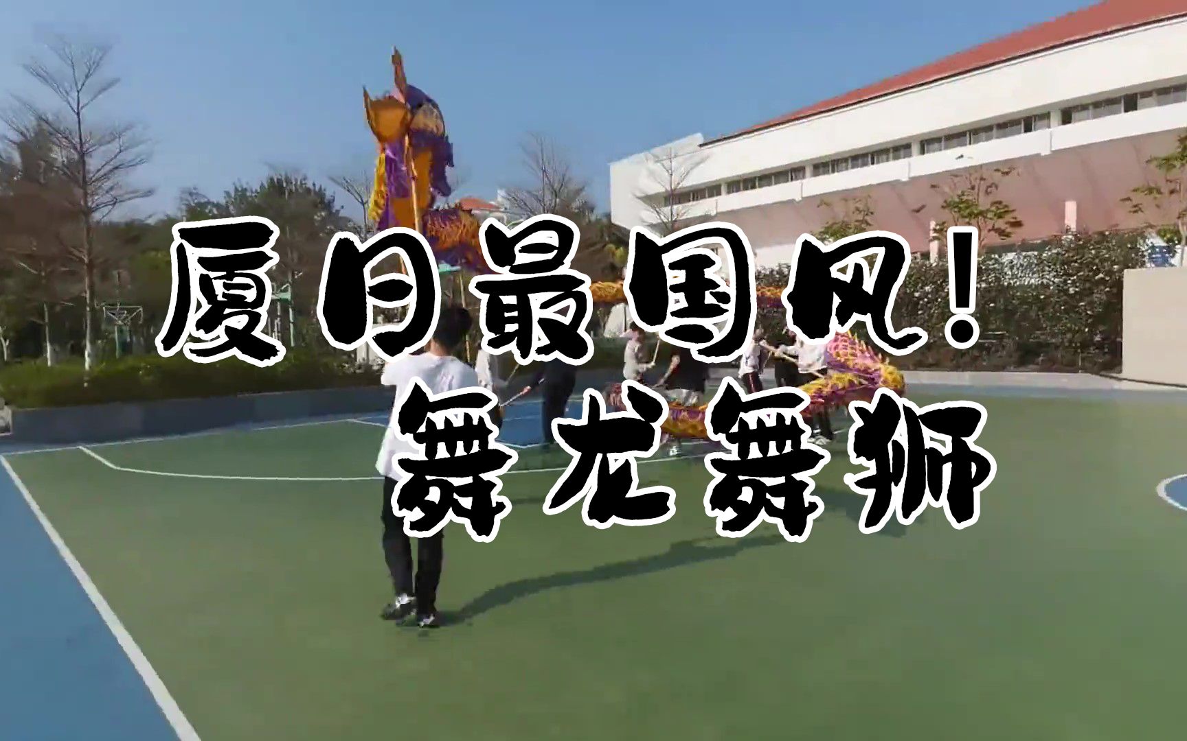 【我的大学】厦日最国风!舞龙舞狮