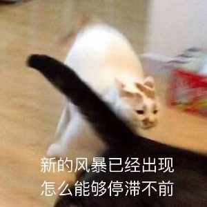 量子点金 