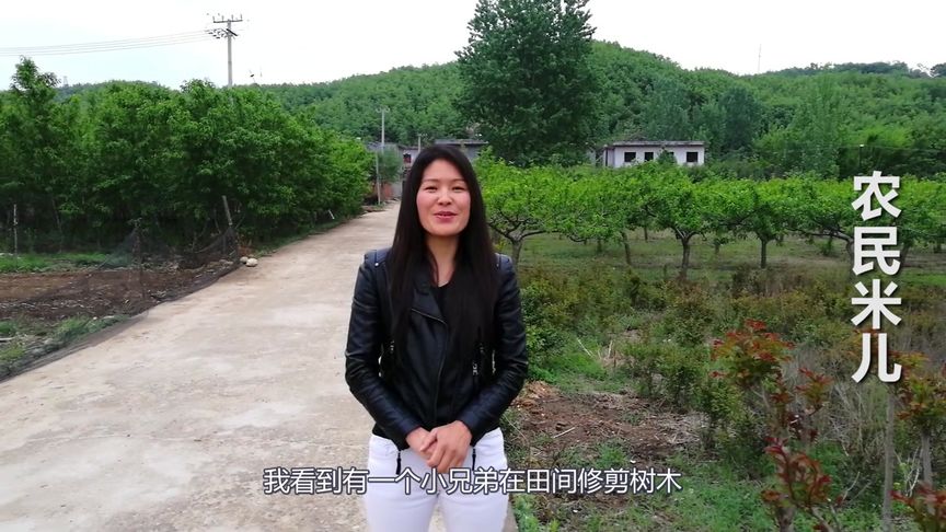 种植樱花树要做好这几步,不用出门就能有花赏