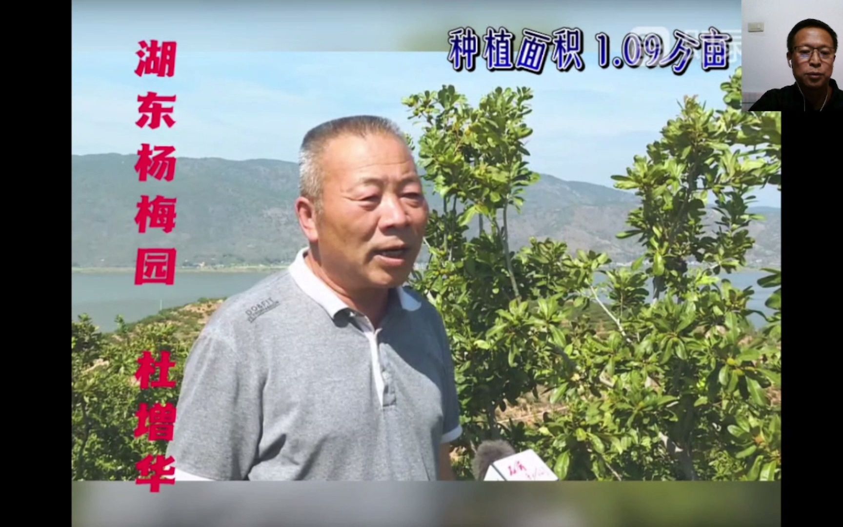 杨梅花果期管理关键技术